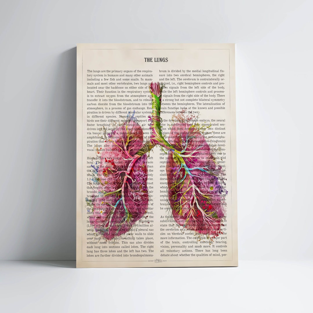Lungs Flower Anatomy Print, Medical Poster, Respiratory Therapy Gift ...