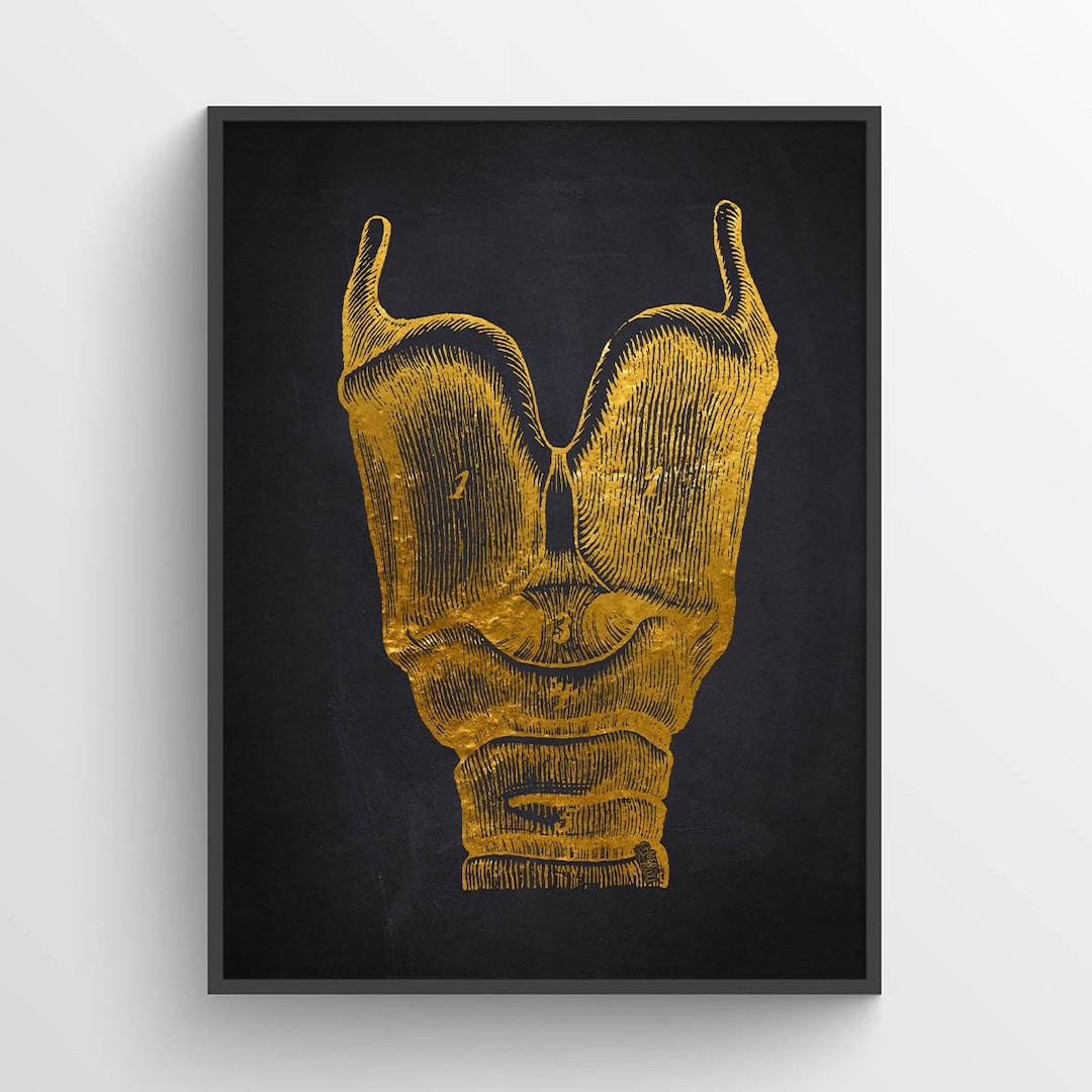 Larynx Anatomy Print, Speech Language Pathologist Gift, Office Decor ...