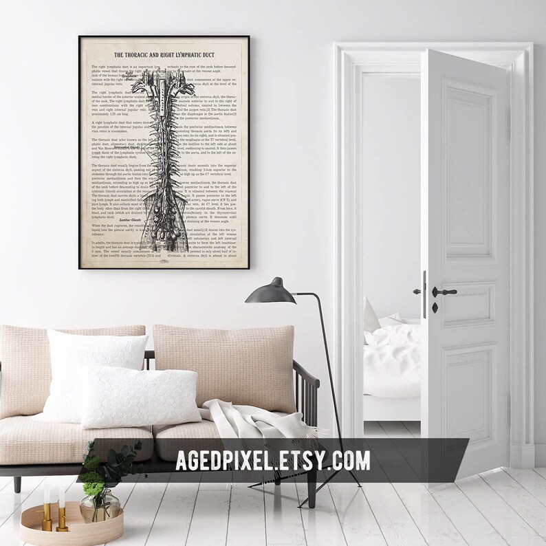 Lymphatics Anatomy Print, Endocrinology Art, Medical Office Decor ...