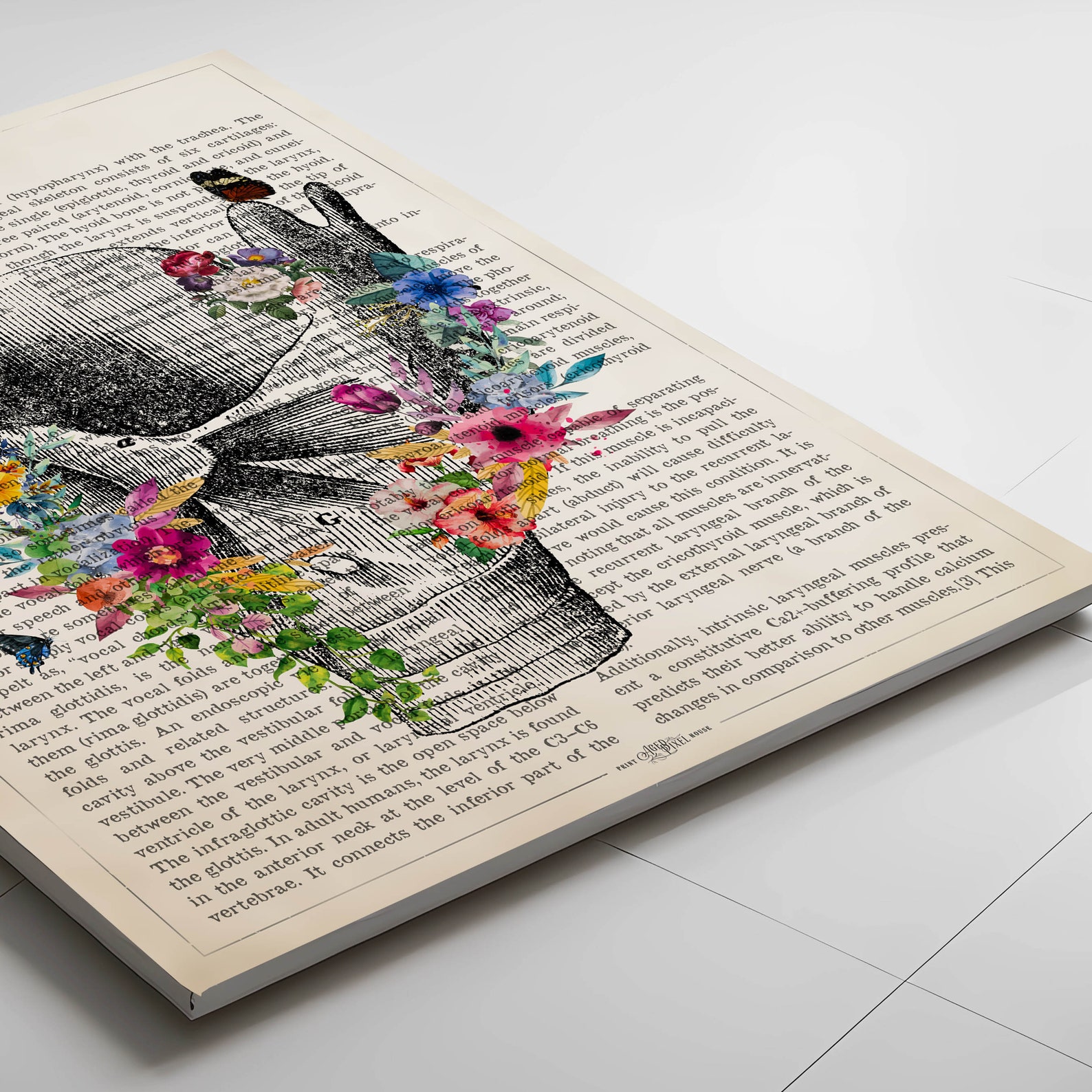 Larynx Anatomy Print, Speech Therapy Gift, Larynx Art, SLP Office Decor ...