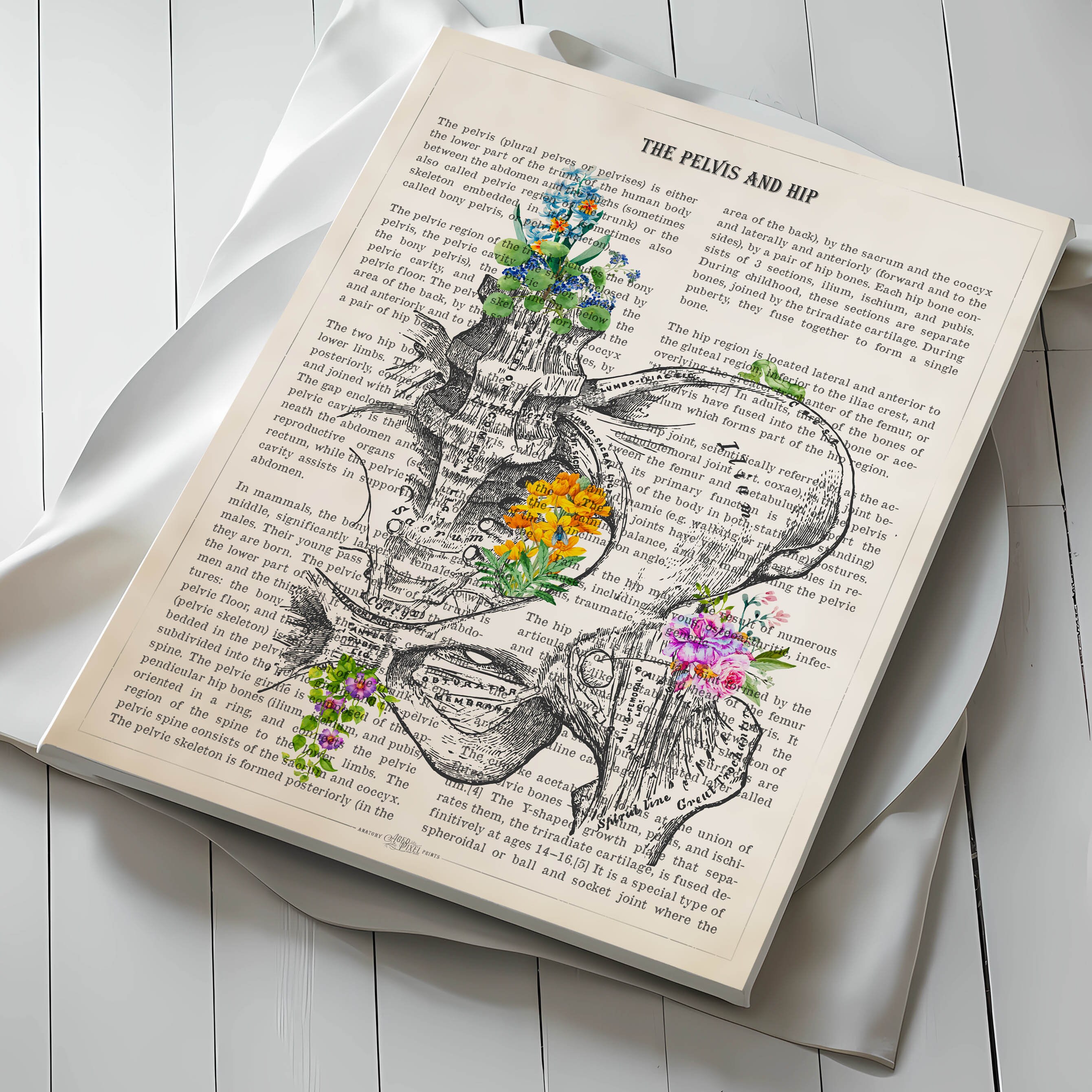 Pelvis and Hip Anatomy Flower Print, Physical Therapy Gift ...