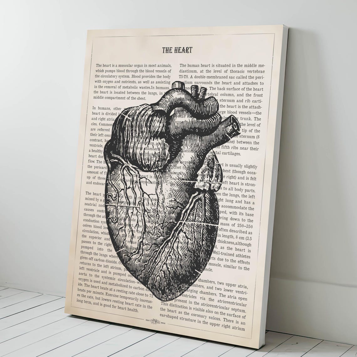 Human Heart Anatomy Print, Medical Poster, Cardiologist Gift Idea ...