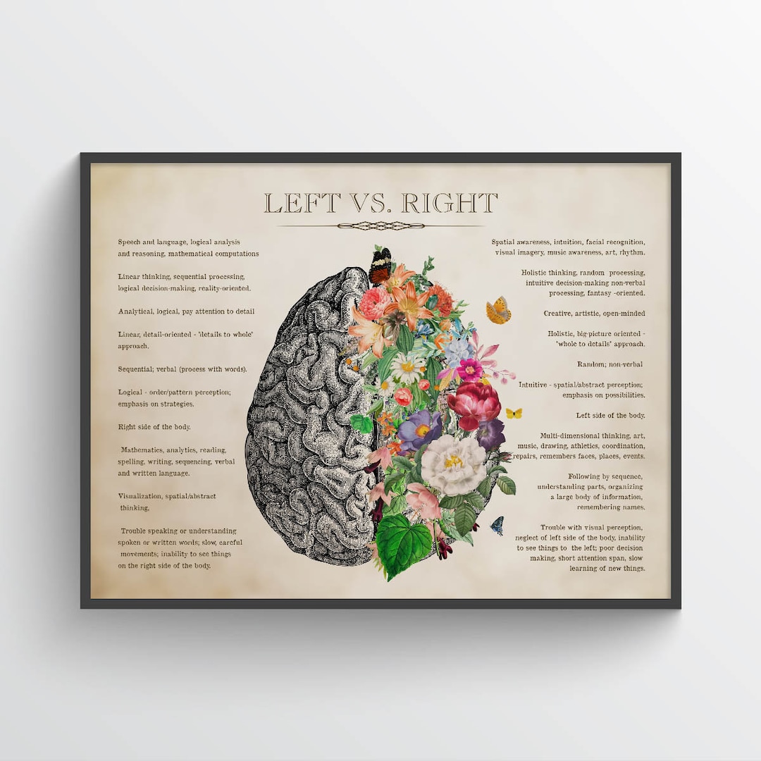 Left and Right Brain Function Anatomy Print, Psychology Decor ...