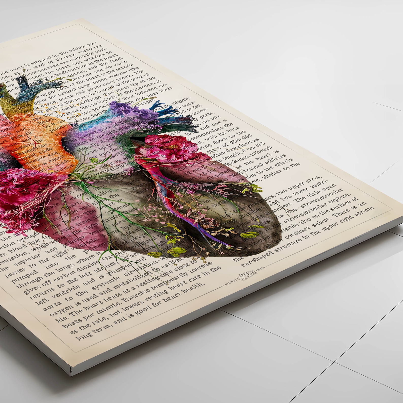 Heart Anatomy Print, Medical Poster, Cardiologist Gift Idea, Cardiology ...