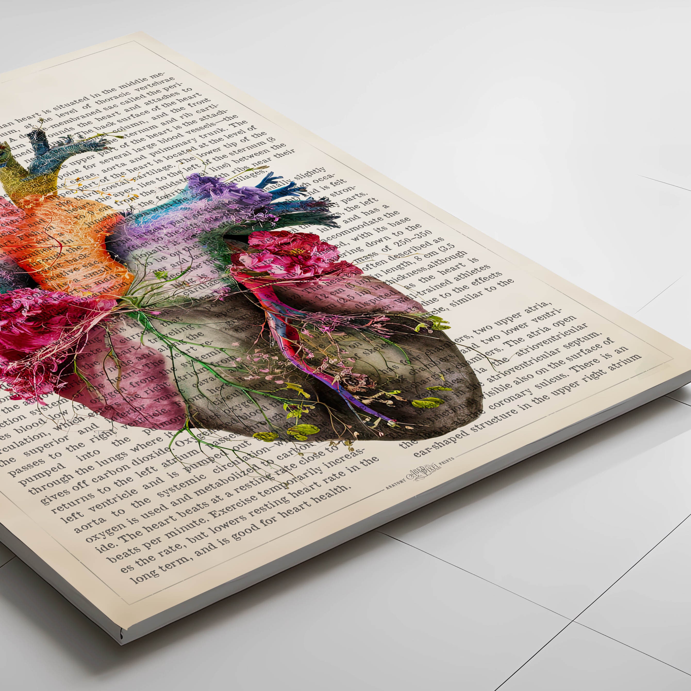 Heart Anatomy Print, Medical Poster, Cardiologist Gift Idea, Cardiology ...