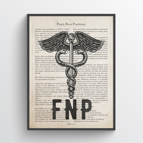 Family Nurse Practitioner Gift FNP Gift Nurse Present - Etsy