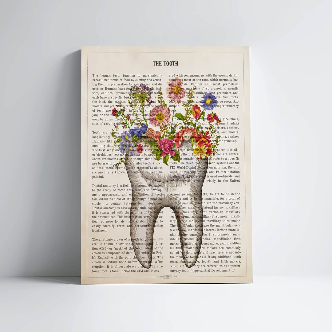 Tooth Anatomy With Flower Print, Dental Art, Gifts for Dentist Student ...
