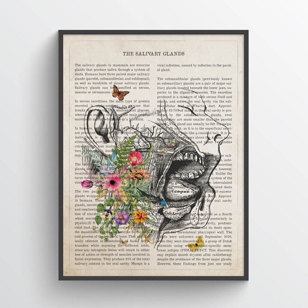 Salivary Gland Anatomy Flower Print, ENT Gift, Ear Nose and Throat ...