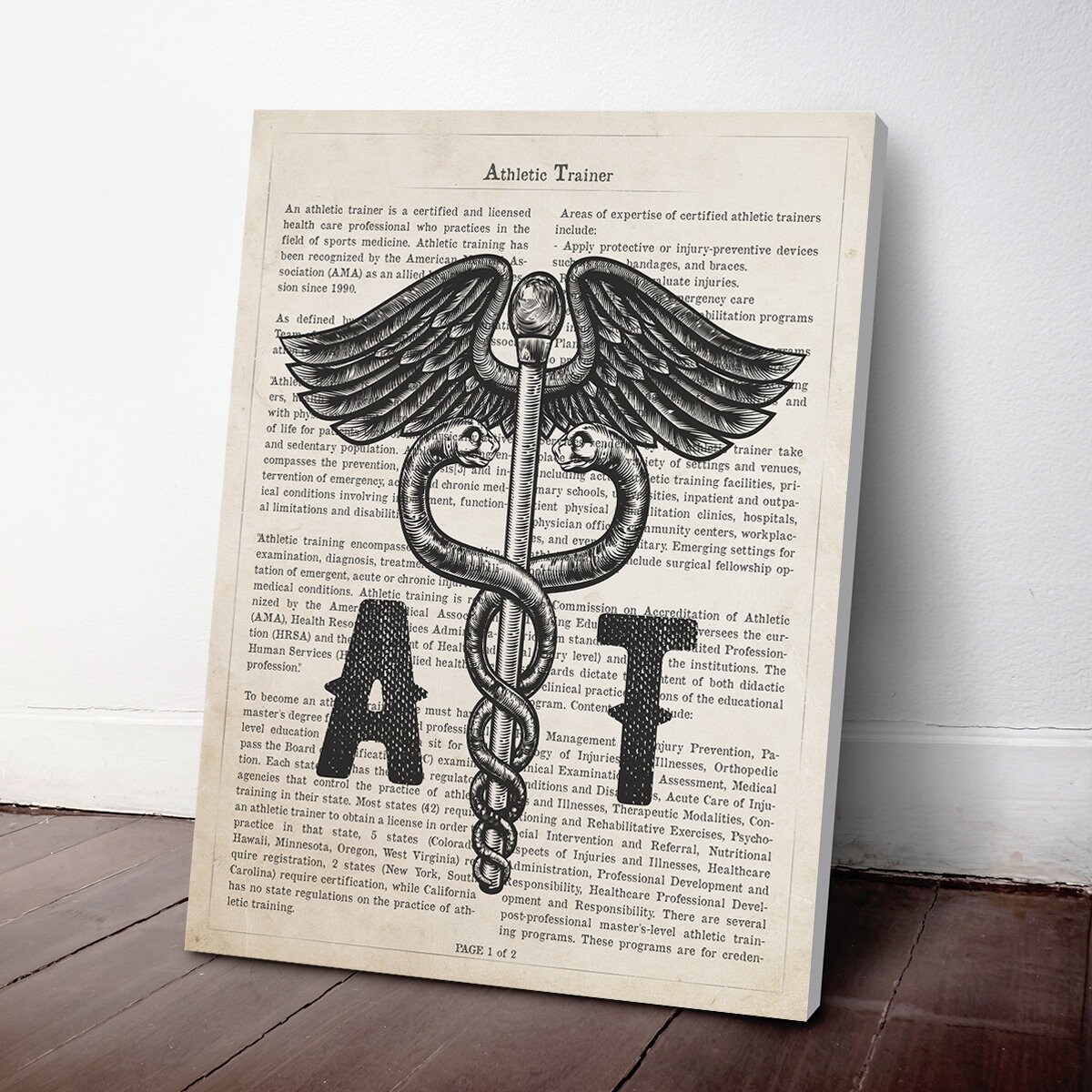 Athletic Trainer Gift AT Gift Athletic Training Gift Sports - Etsy