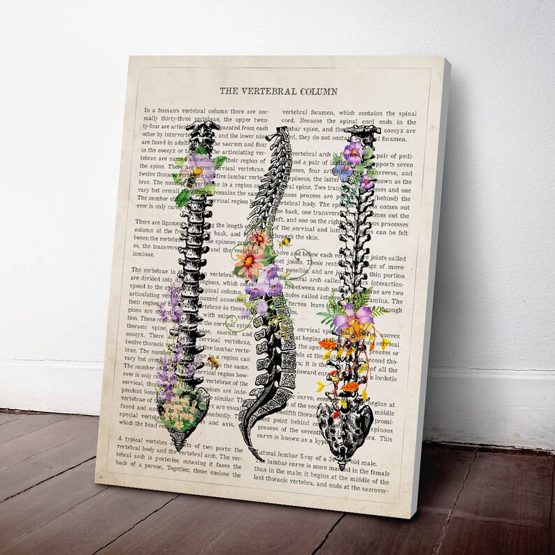 Vertebral Column Anatomy Flowers Print Chiropractor Gift - Etsy