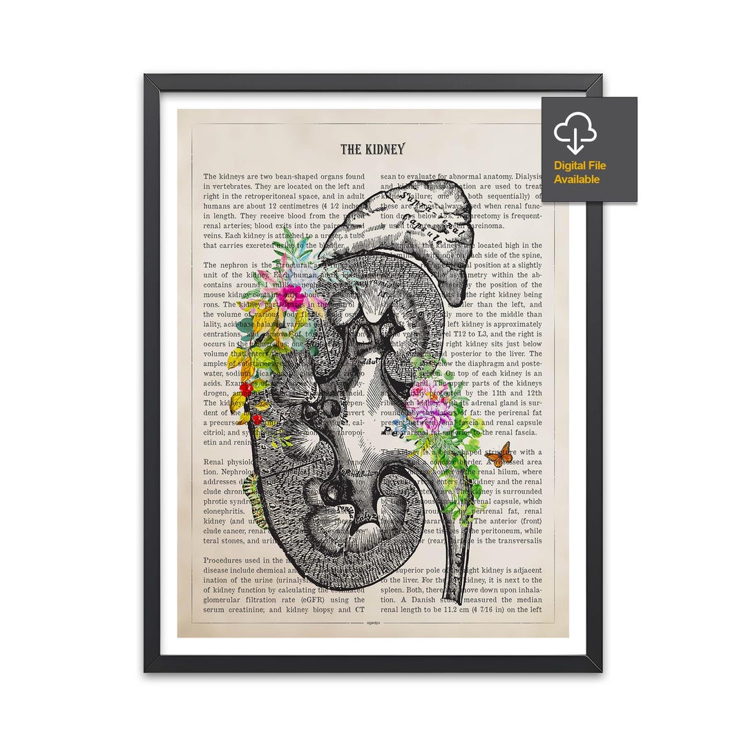 Kidney Anatomy Flower Print, Urologist Gift, Nephrologist Gift ...