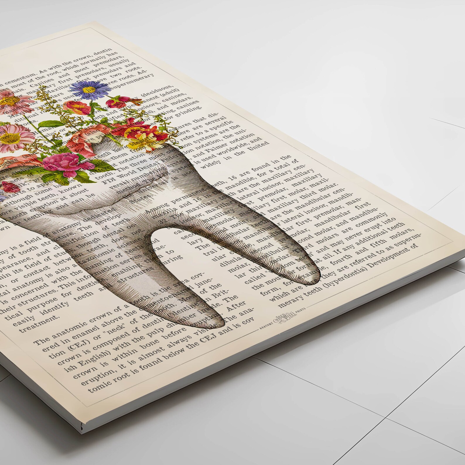 Tooth Anatomy With Flower Print, Dental Art, Gifts for Dentist Student ...