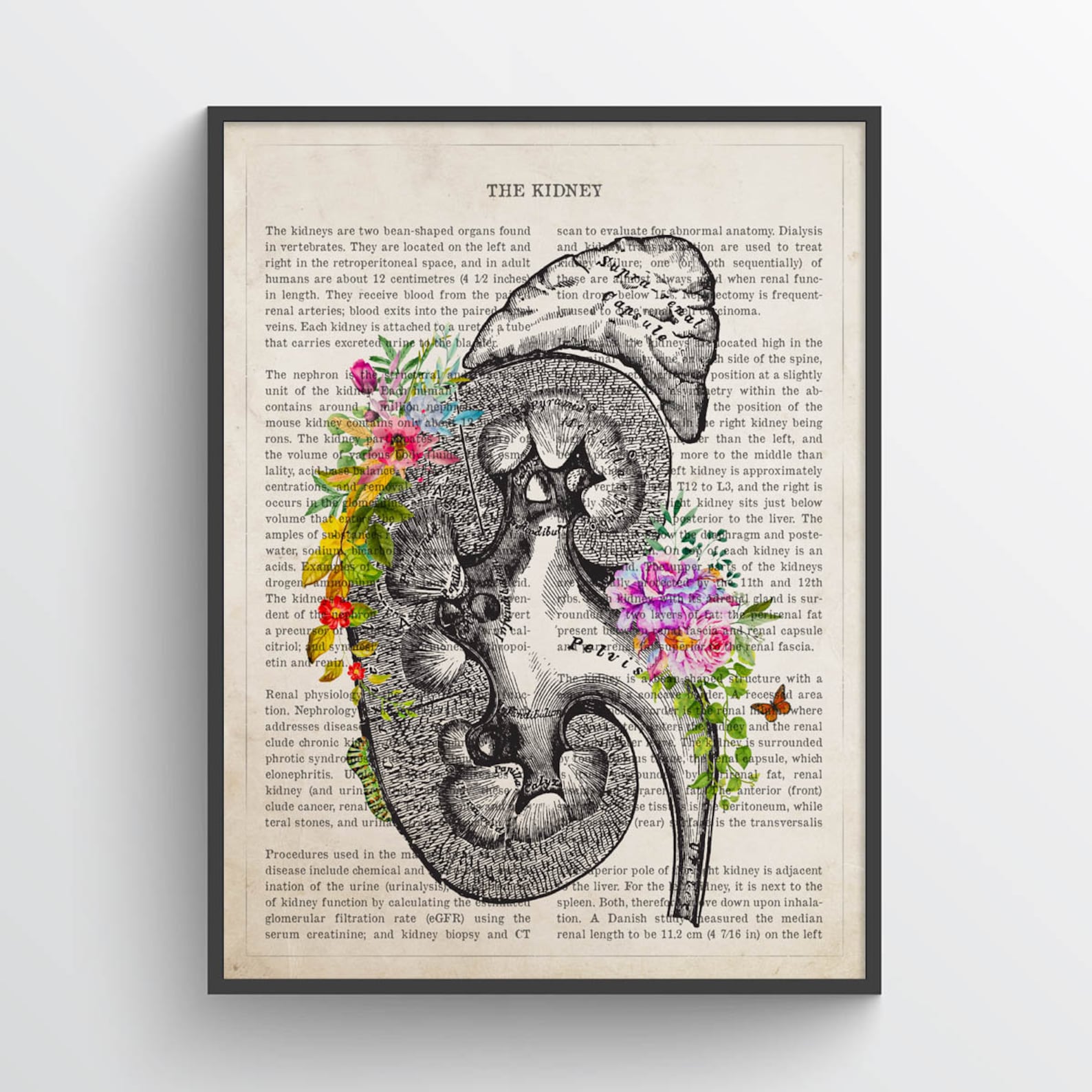 Kidney Anatomy Flower Print Urologist Gift Nephrologist - Etsy