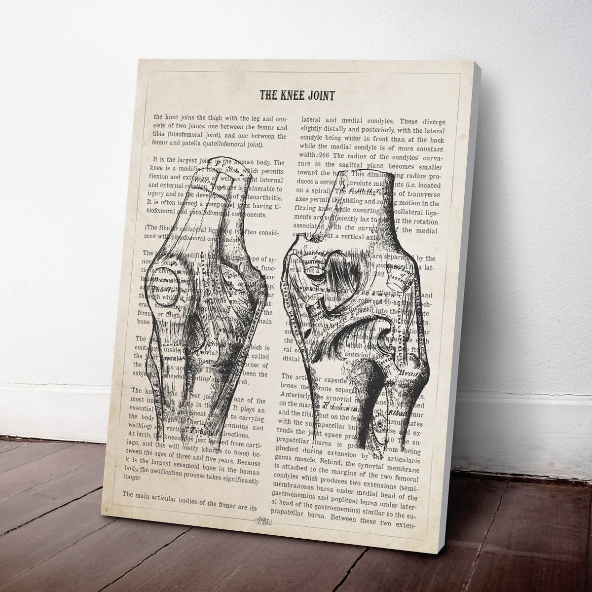 Knee Joint Anatomy Print, Gift for Orthopedic Surgeon, Orthopedists ...