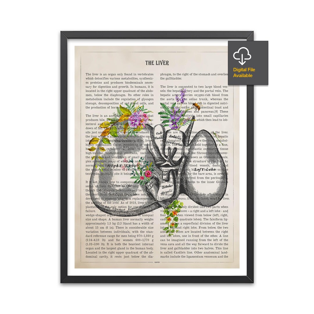 Liver Anatomy Flower Print, Hepatologist Gift, Gastroenterologist ...