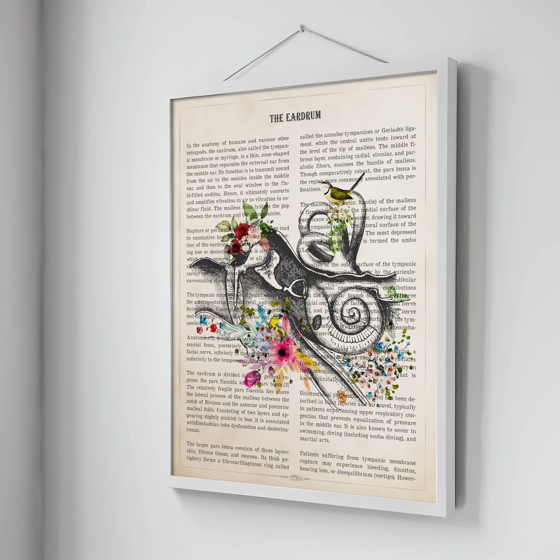 Eardrum Anatomy Flower Print, Tympanic Membrane Art, AUD, Audiology ...