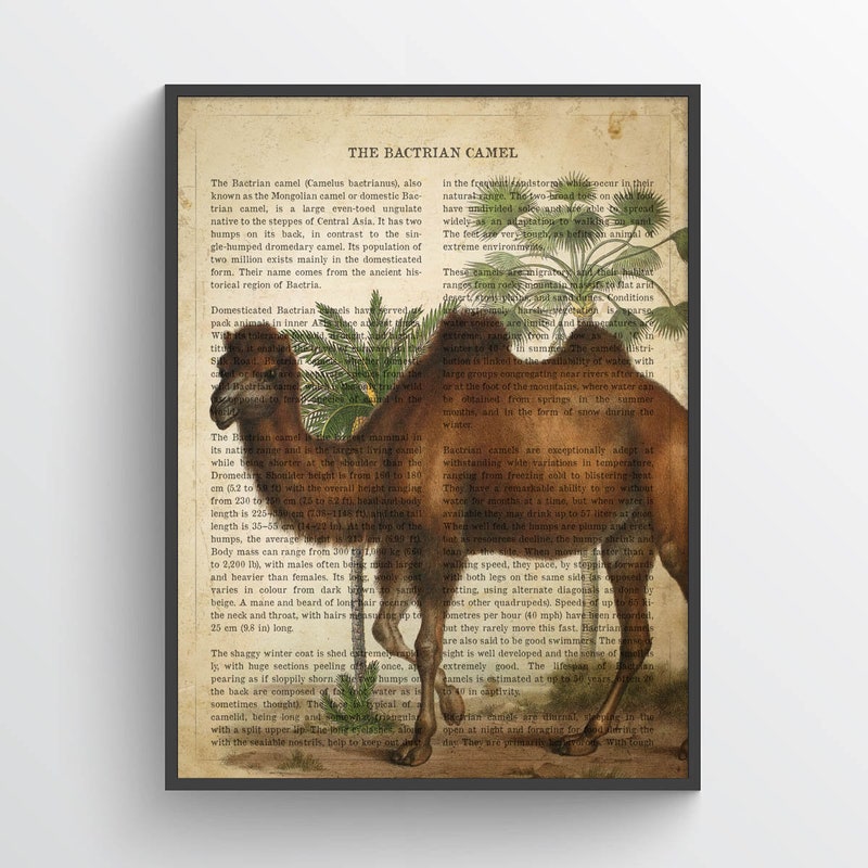 Camel Prints - Etsy