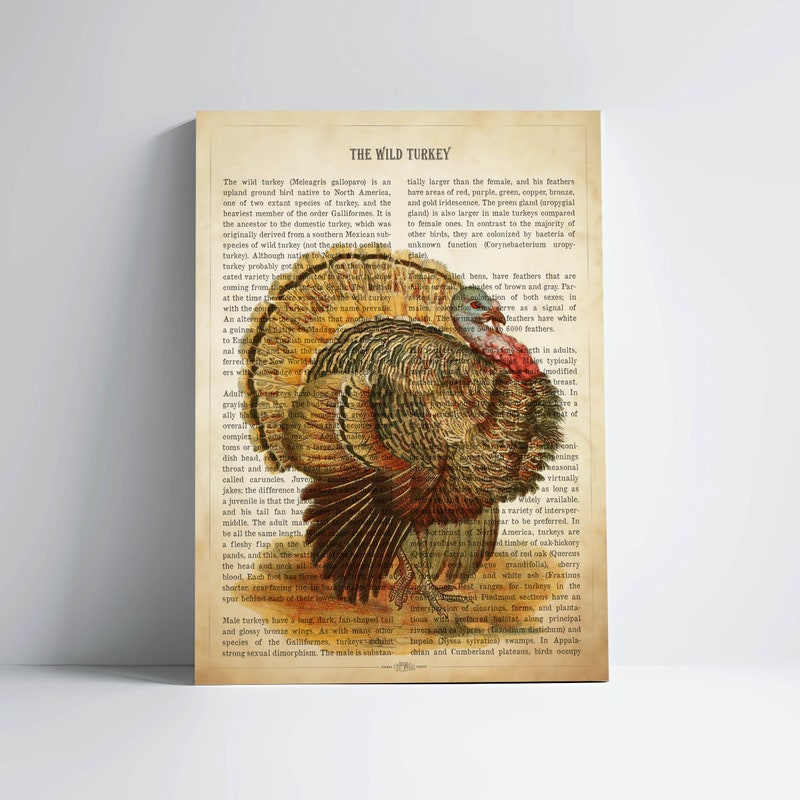 Wild Turkey Prints - Etsy