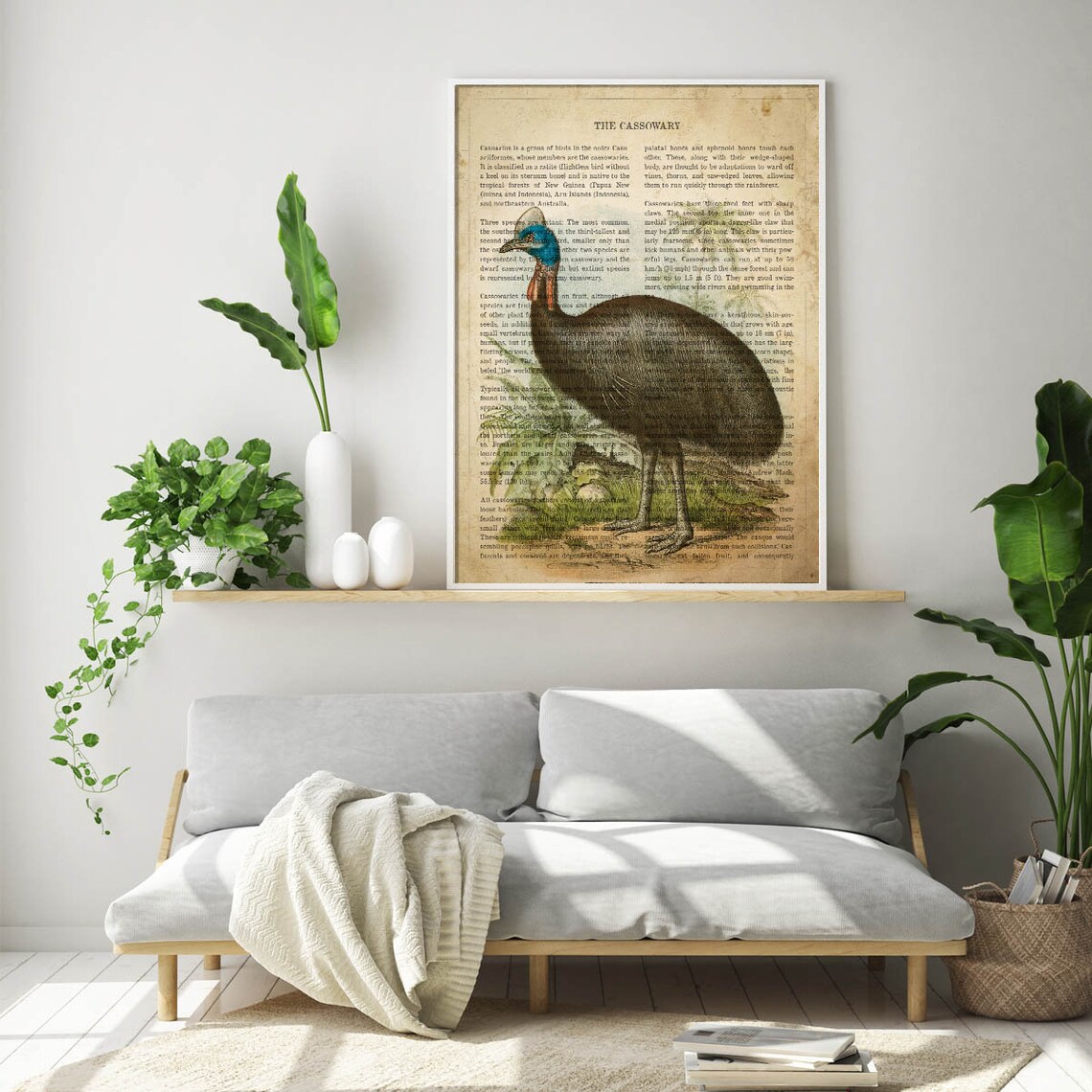 Vintage Cassowary Print Safari Painting Casuarius - Etsy