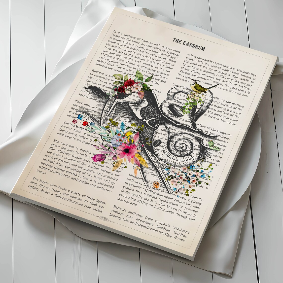 Eardrum Anatomy Flower Print, Tympanic Membrane Art, AUD, Audiology ...