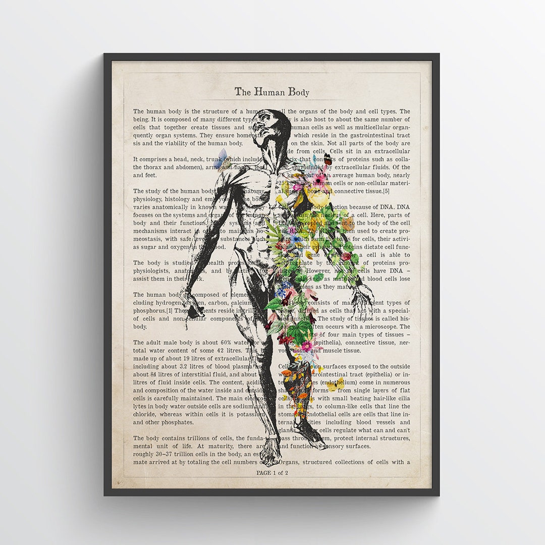 Human Body Anatomy Print, Human Body Flower Art, Doctor Office Decor ...