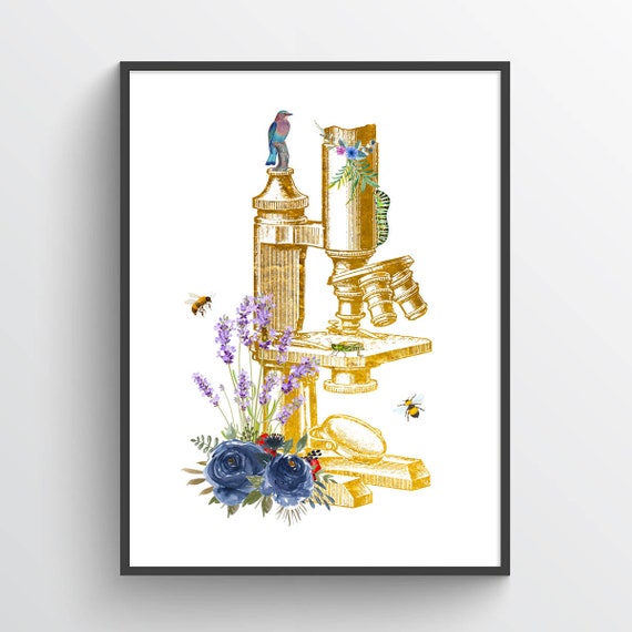 | Microscope Art Prints Art Made from Microscope Imaging 3 Pk Medical ...