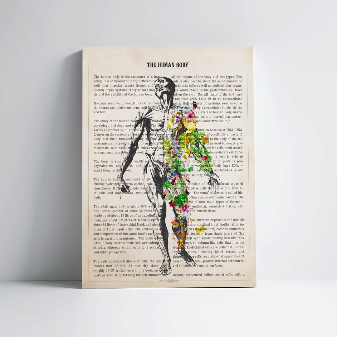 Human Body Anatomy Print, Human Body Flower Art, Doctor Office & Clinic ...