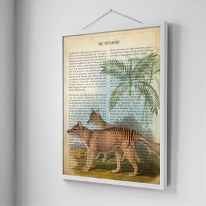 Tasmanian Tiger Print, Thylacine Poster, Safari Painting, Animal Wall ...