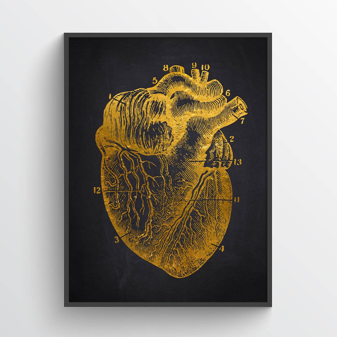 Heart Anatomy Print, Cardiologist Gift Idea, Cardiology Decor ...