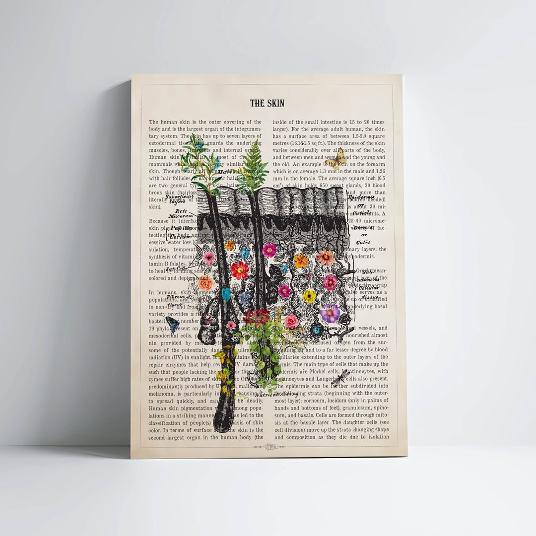 Skin Anatomy Flower Print, Dermatologist Gift, Dermatology Skin Care ...