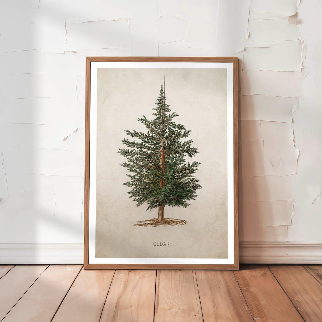 Retro Cedar Tree Print Rustic Outdoors Wall Art for Lake House & Office ...