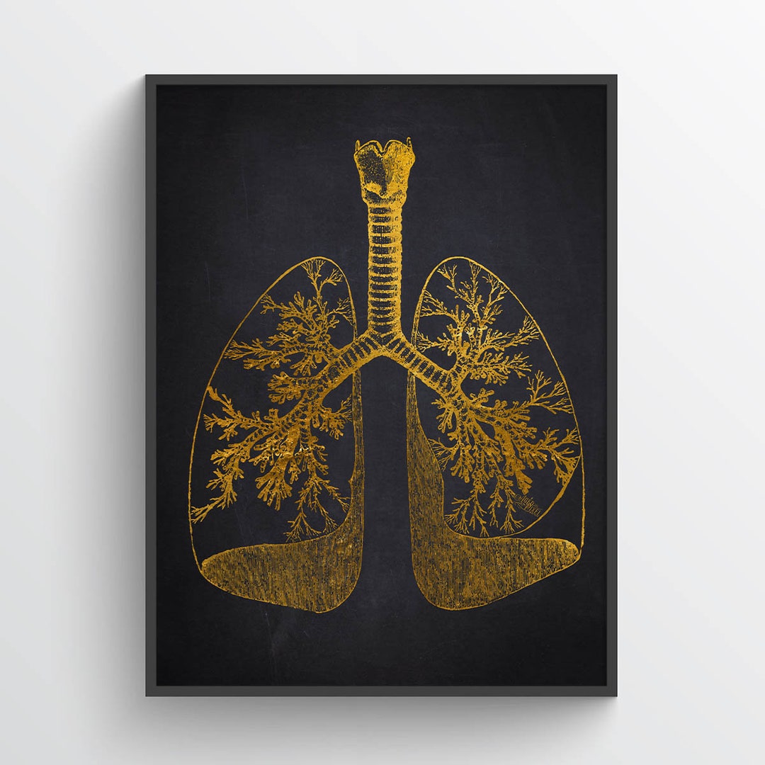 Lungs Anatomy Print, Medical Poster, Respiratory Therapy Gift ...