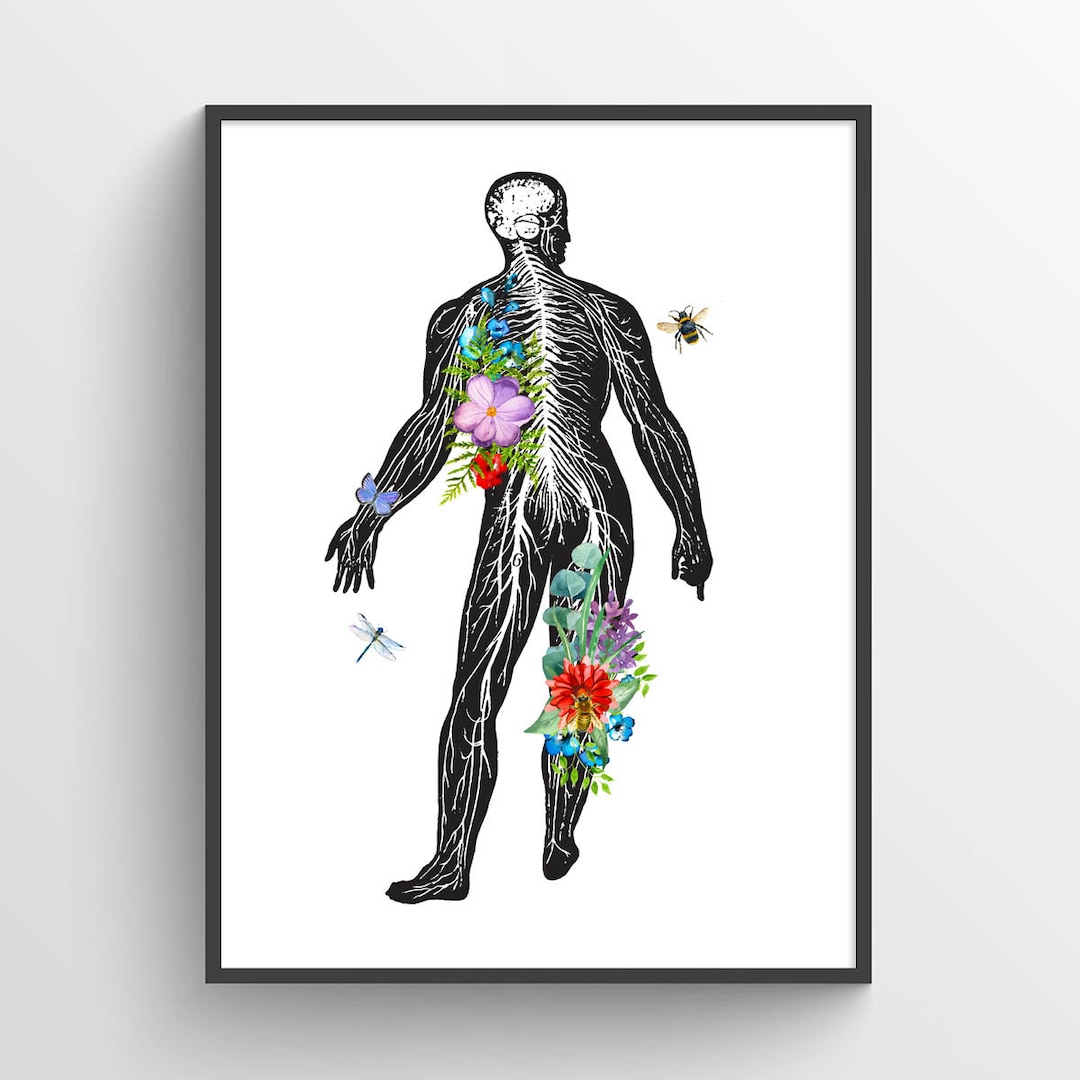 Nervous System Print, Nerve Anatomy Human Body Flower Art, Doctor ...