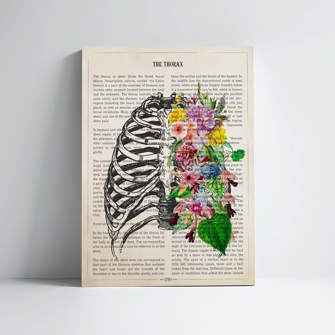 Thorax Anatomy Print, Radiology Gift, Human Chest Skeleton, Medical ...