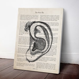 Outer Ear Anatomy Print, Audiology Gift, Hearing Doctor, ENT Gift ...