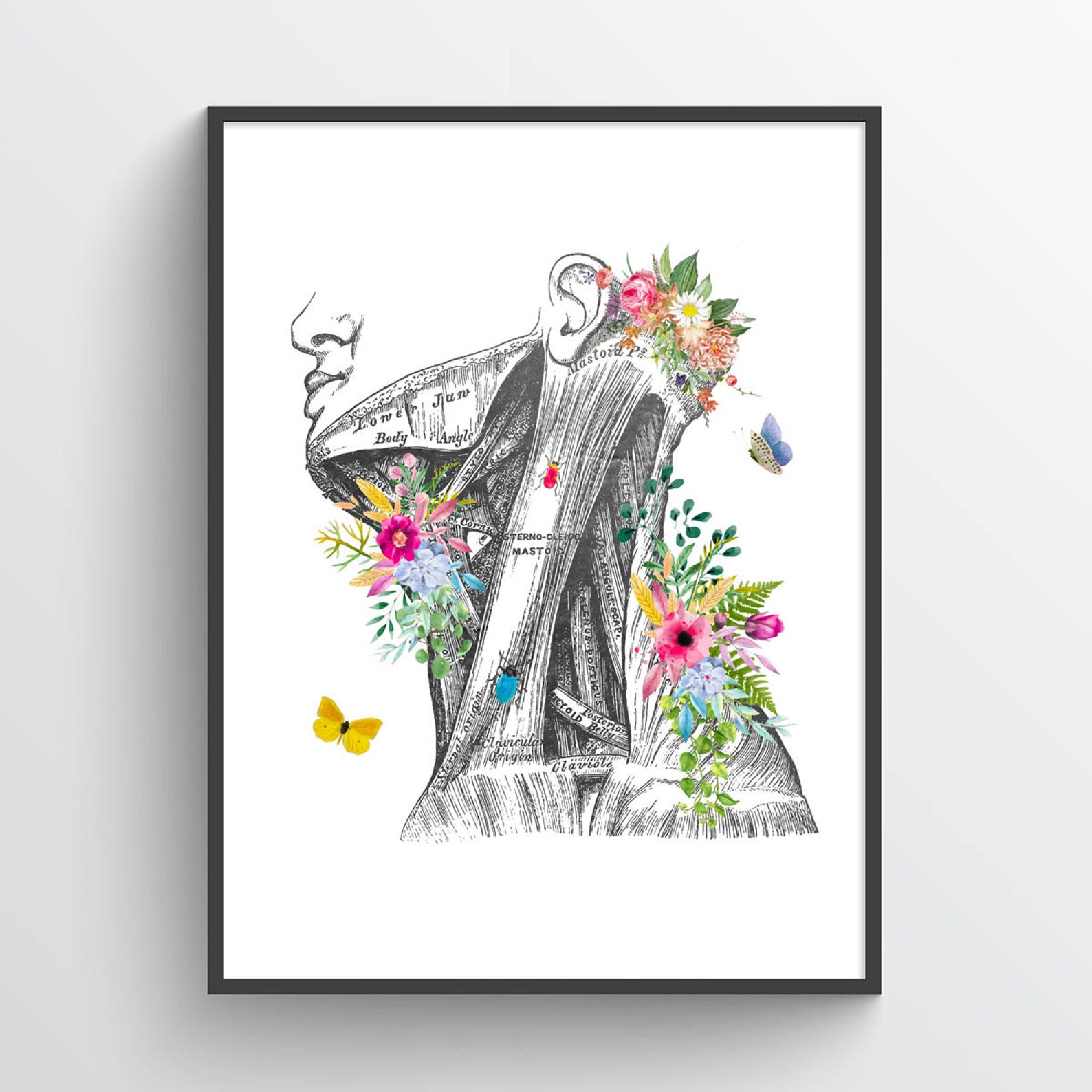 Muscles of the Neck Anatomy Print, Chiropractor Gift, Licensed Massage ...