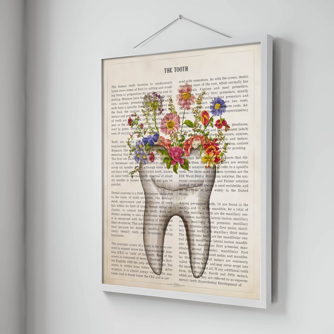 Tooth Anatomy With Flower Print, Dental Art, Gifts for Dentist Student ...