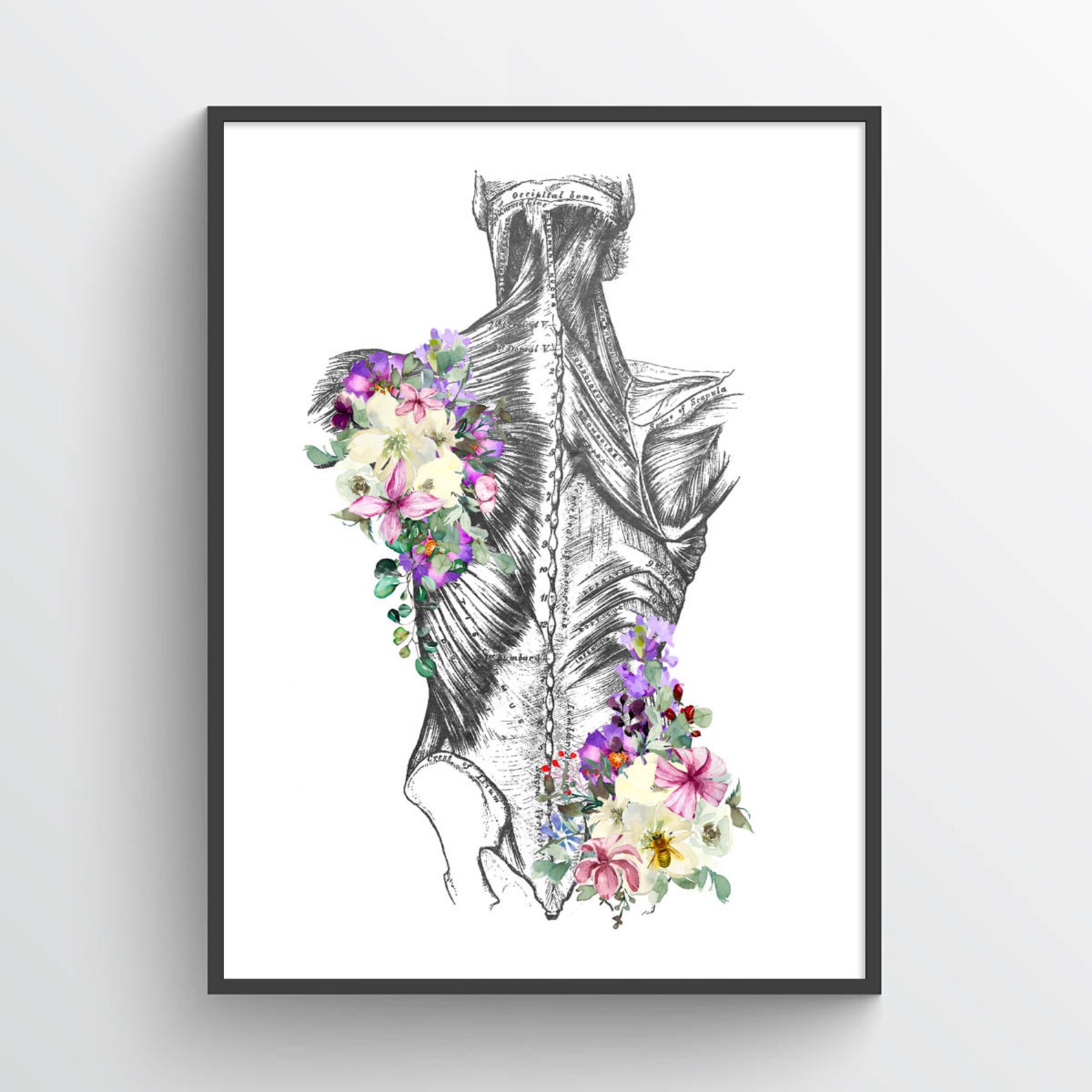 Muscles of the Back Anatomy Print Chiropractor Gift LMT - Etsy