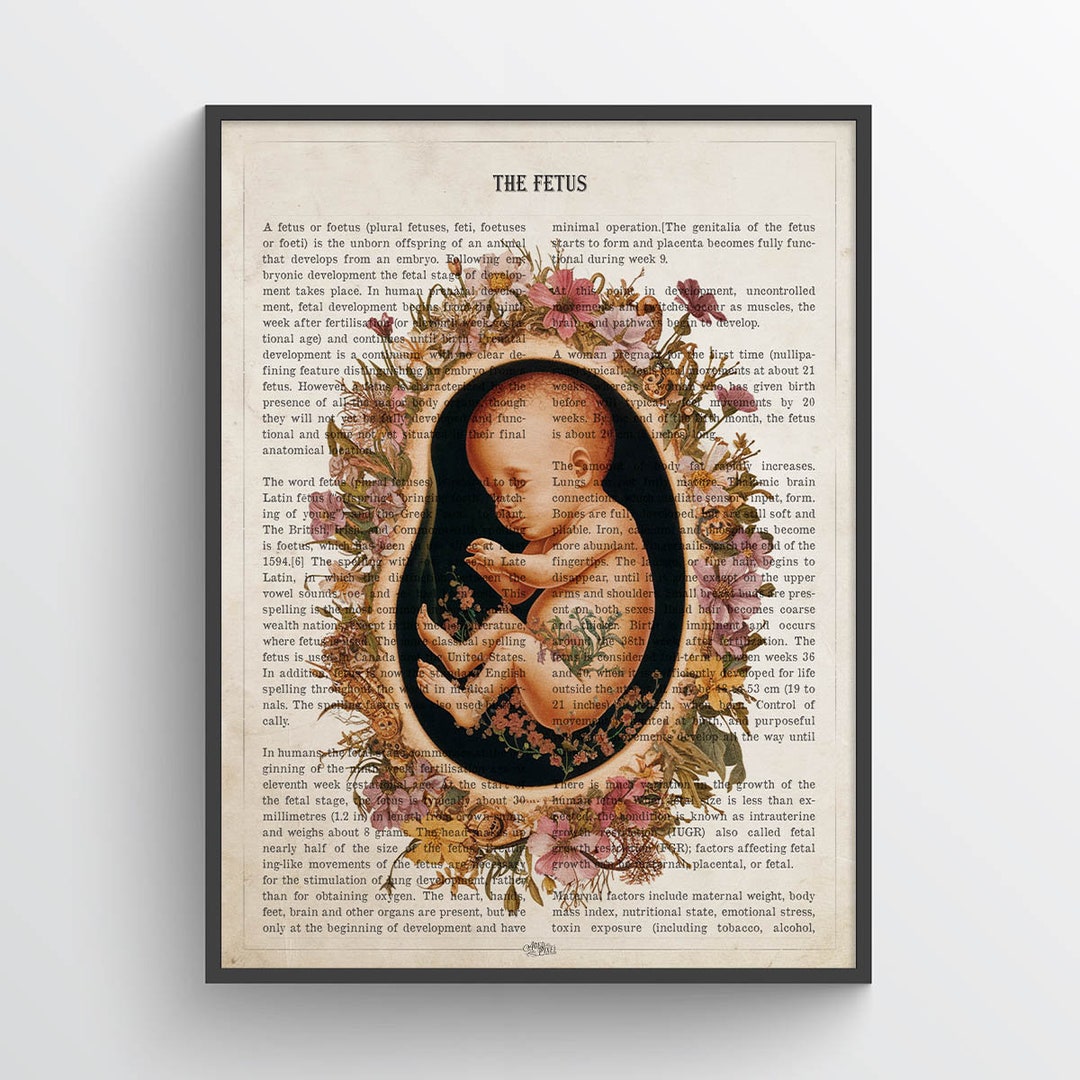 Fetus in Womb Flower Anatomy Print, Obstetrician Graduation Gift Idea ...