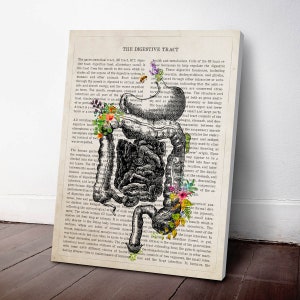 Digestive Tract Anatomy Flower Print, Intestine, Stomach Art, Medical ...