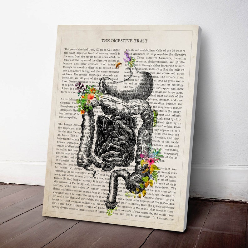 Digestive Tract Anatomy Flower Print Intestine Stomach Art - Etsy
