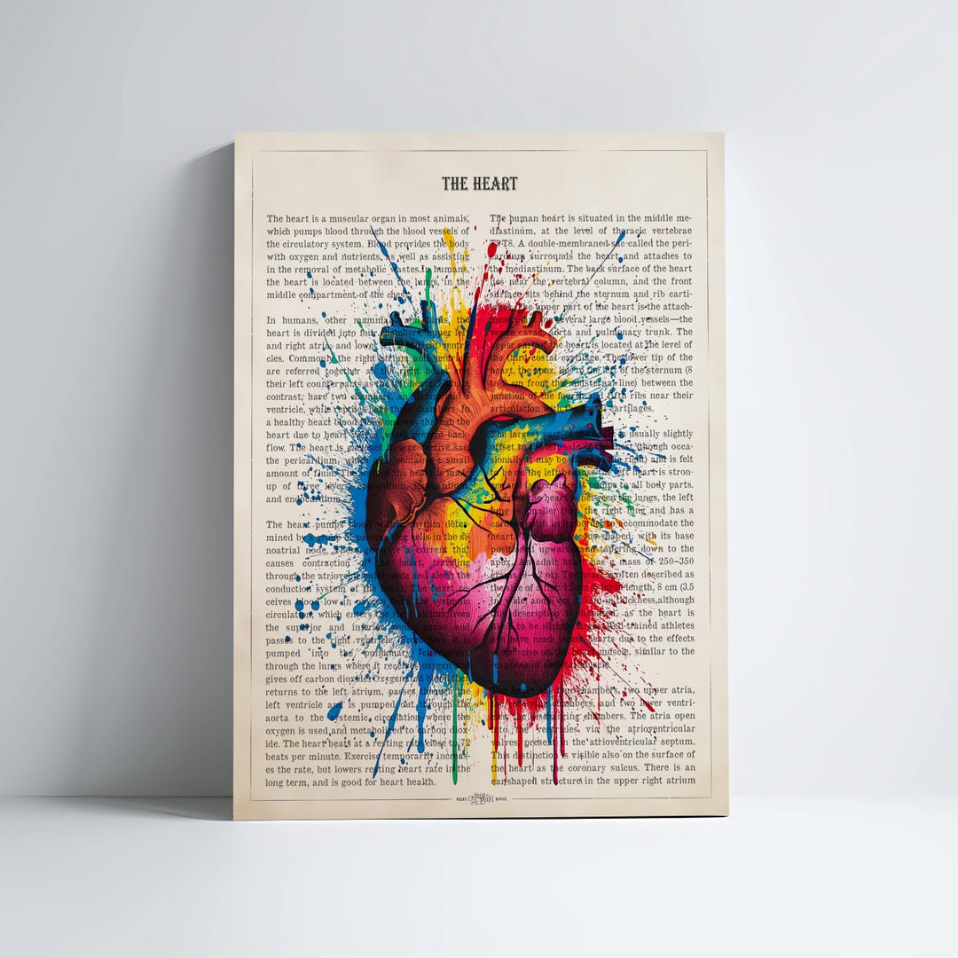 Heart Anatomy Print, Medical Poster, Cardiologist Gift Idea, Cardiology ...