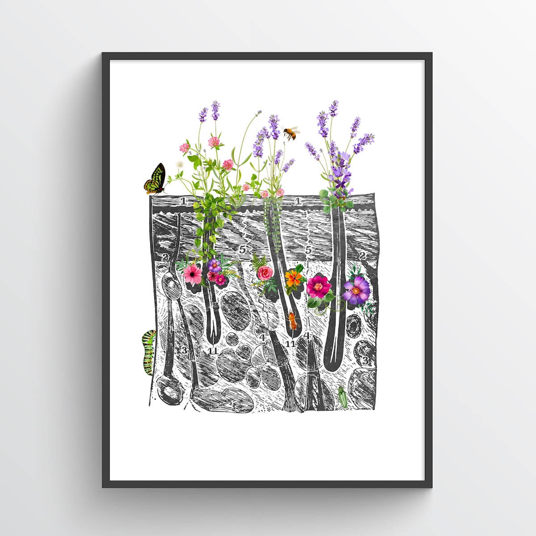 Skin Anatomy Flower Print, Dermatologist Gift, Dermatology Skin Care ...