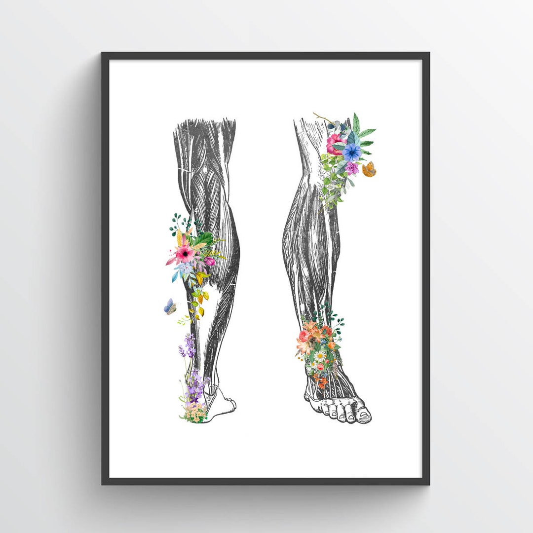 Legs Muscular System Anatomy Flower Print, Massage Therapist ...
