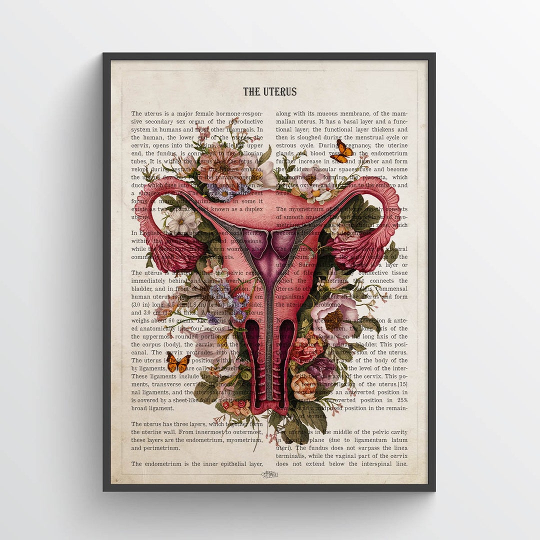 Uterus Print, Female Reproductive System, Pregnancy Gift, Womb Anatomy ...