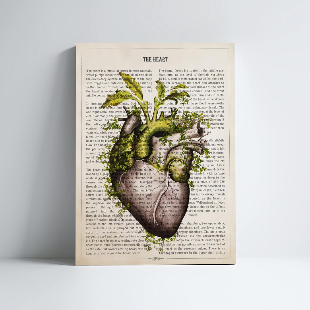 Heart Anatomy Print, Medical Poster, Cardiologist Gift Idea, Cardiology ...