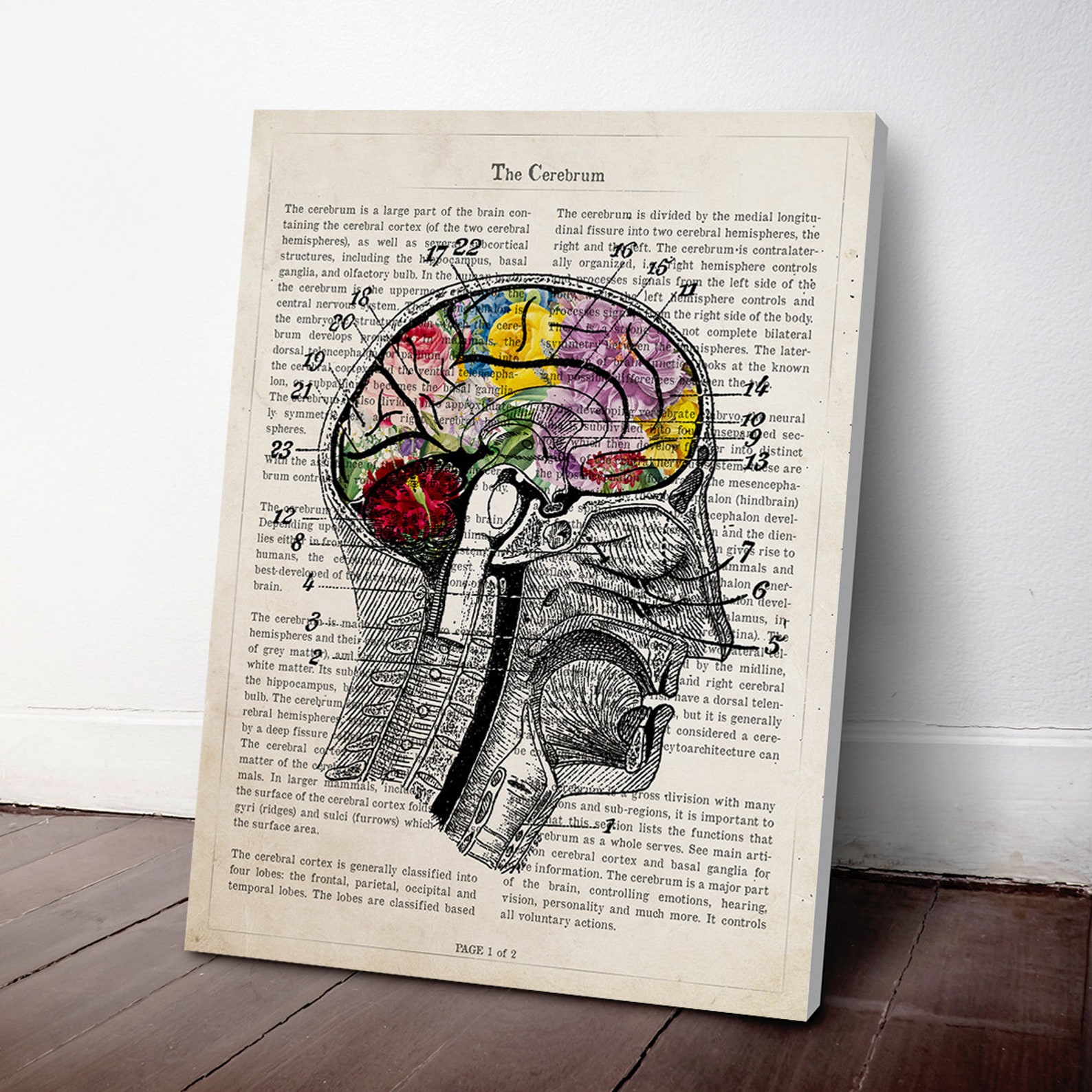 Brain Flower Collage Anatomy Print Psychology Neurologist | Etsy