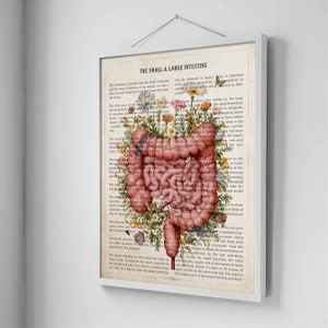 Intestine Anatomy Flower Print, Gastroenterologist Gift, Small ...