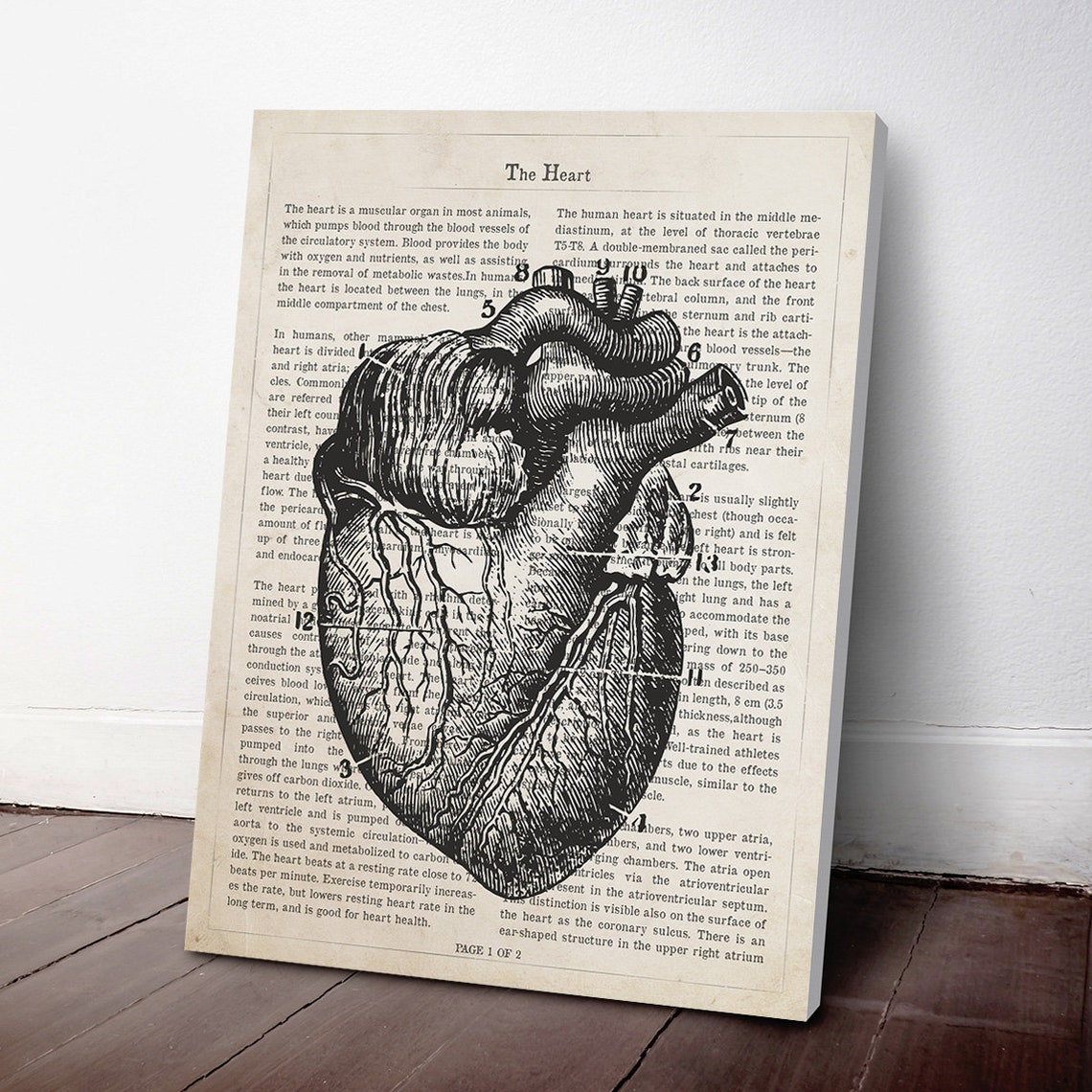 Human Heart Anatomy Print Medical Poster Cardiologist Gift - Etsy