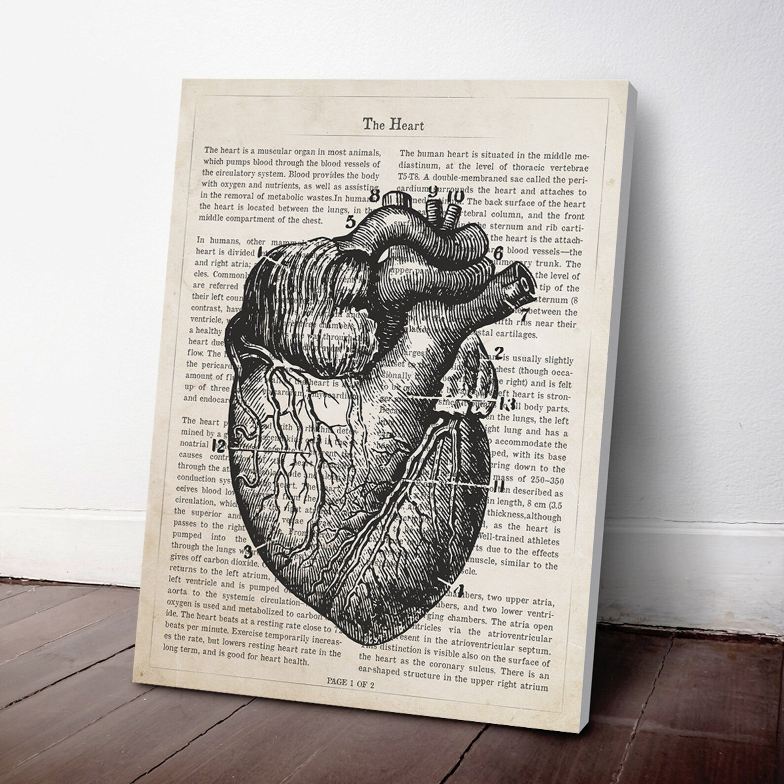 Human Heart Anatomy Print Medical Poster Cardiologist Gift - Etsy
